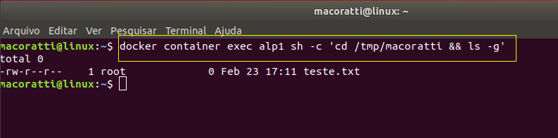 Docker Executando Comandos Em Um Contêiner Em Execução