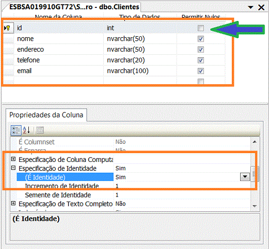 ASP .NET - Inserindo e Atualizando dados em páginas distintas