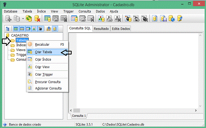 Vb Net Acessando O Sqlite Com O Vs 2013 Ii