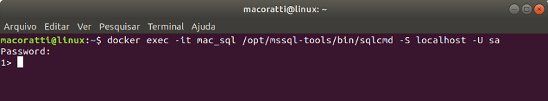 Docker Executando O Sql Server Em Um Contêiner
