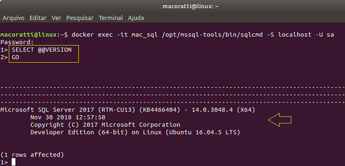 Docker Executando O Sql Server Em Um Contêiner
