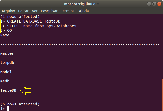 Docker Executando O Sql Server Em Um Contêiner