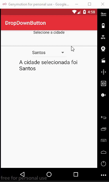 Flutter Apresentando DropDownButton