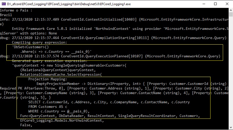 EF Core 5.0 - Simple Loging com LogTo - II